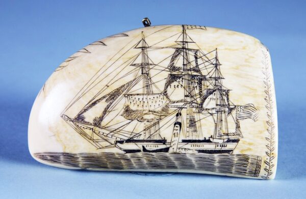 Exploring Antique Technologies – Saving Scrimshaw: How it’s Made and ...