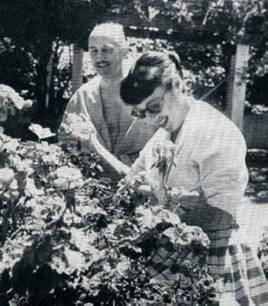 Edith Head: Designing A Hollywood Legend - The Journal of Antiques and ...