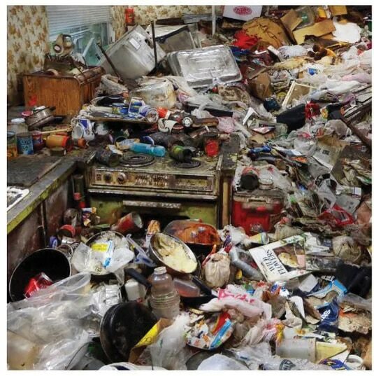 Collectors, Hoarders, and Peculiarities - The Journal of Antiques and ...