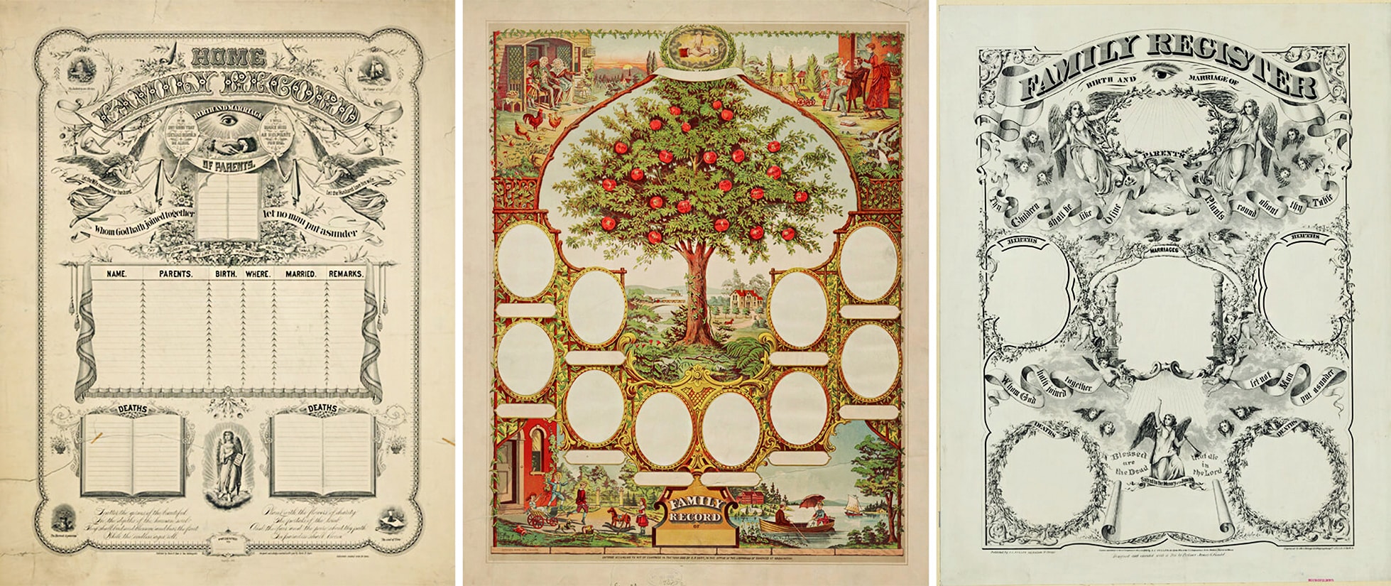 Half of an Old Bible